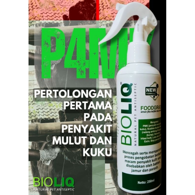 Jual BIOD*N SPRAY UNTUK PMK PADA SAPI KINI BERUBAH NAMA MENJADI BIOLIQ ...