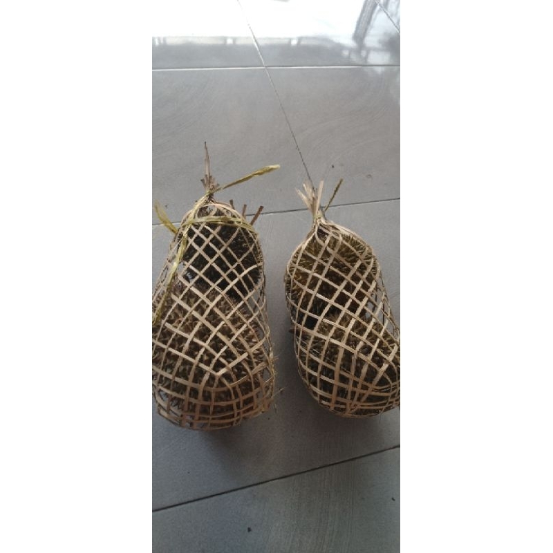 Jual READY DURIAN LOKAL DURIAN JEMBER DURIAN MANIS DURIAN SATUAN DURIAM ...