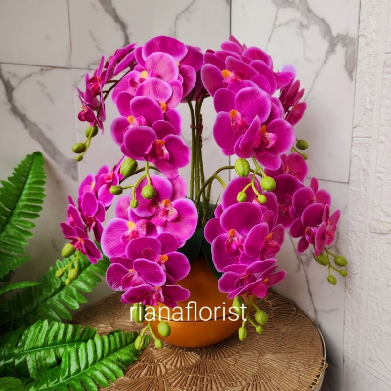 Jual BUNGA ANGGREK LATEX MURAH 8 TANGKAI | Shopee Indonesia