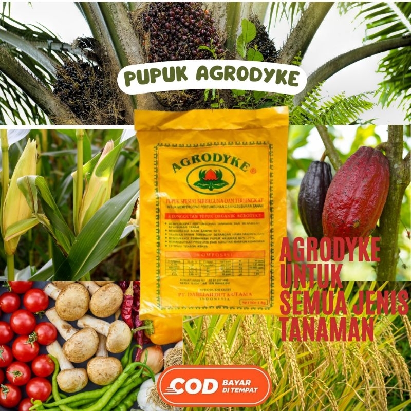 Jual Agrodyke Pupuk Kaya Nutrisi ( Cocok Untuk Semua Jenis Tanaman) Kemasan 1 kg | Shopee Indonesia