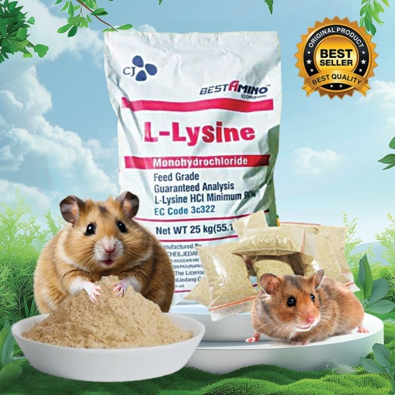 Jual LYSINE MINI - Vitamin Hamster Campuran Makanan Hamster Obat Subur ...