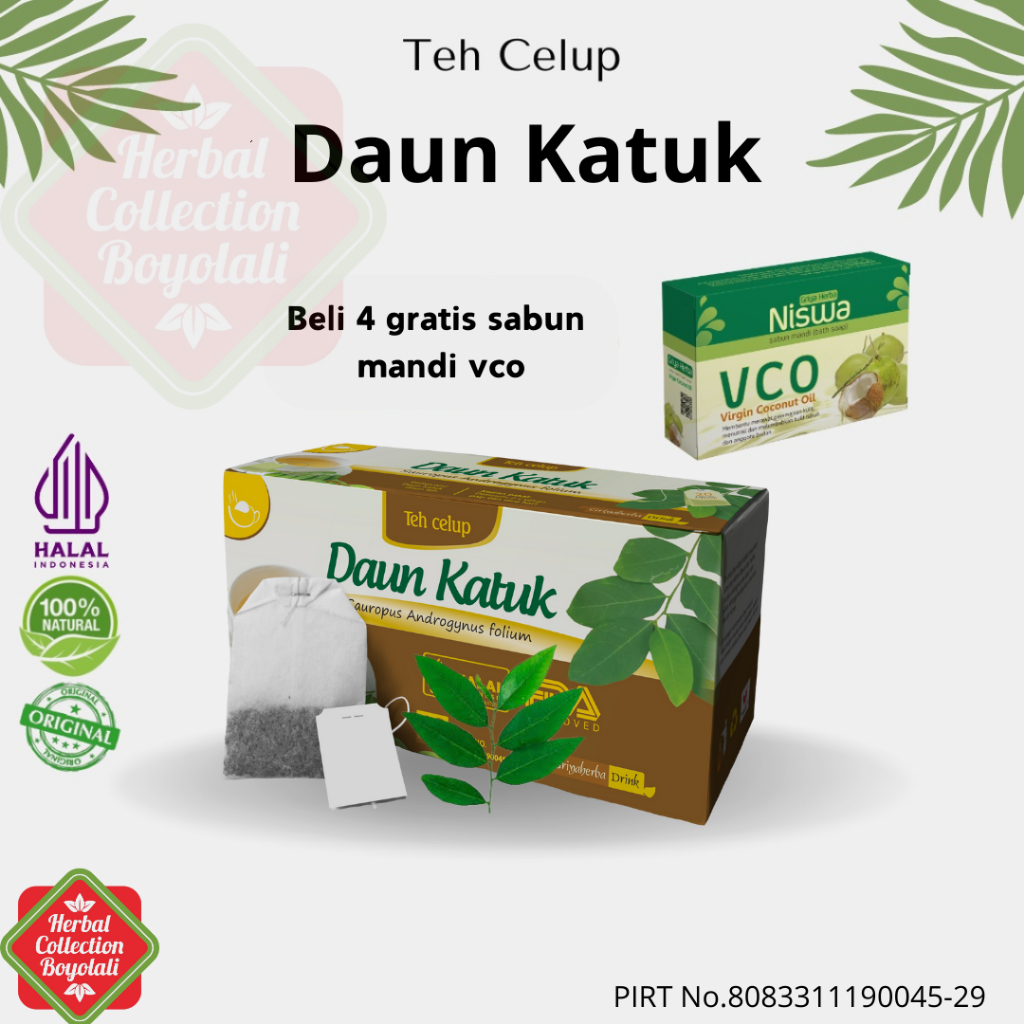 Jual Teh herbal Daun katuk griya herba isi 20 kantong teh celup ...