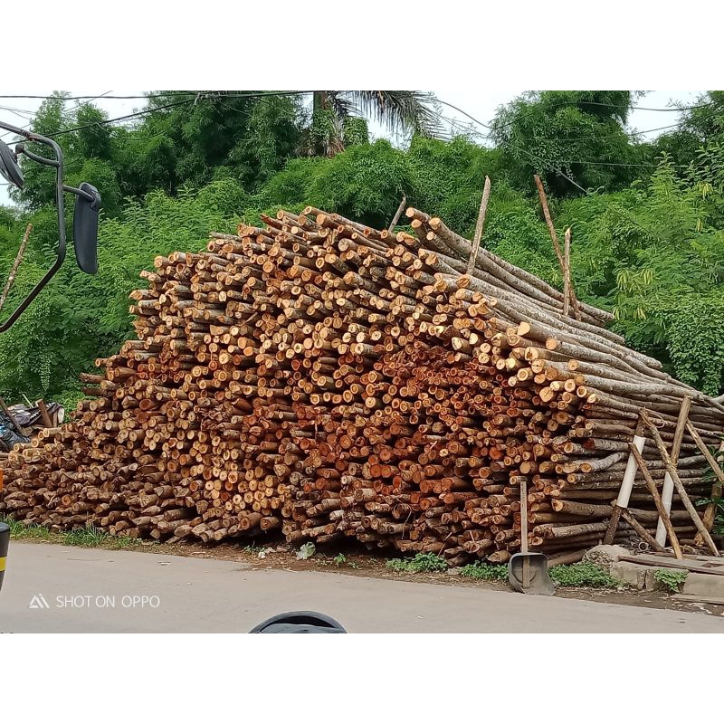 Jual JUAL DOLKEN LOKAL UKURAN 5/7CM ( MINIMAL ORDER 50 BTG)pengiriman ...