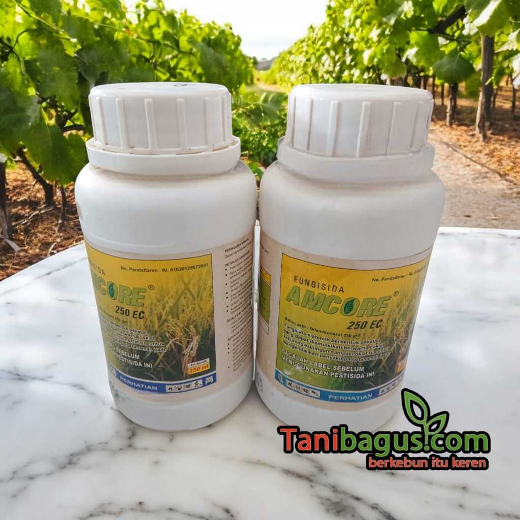 Jual Amcore 250 EC - 250 ml ( Fungisida ) Pengendali Penyakit Tanaman Padi | Shopee Indonesia
