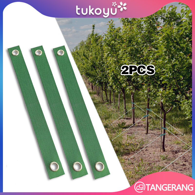 Jual Tali Pohon Penahan Angin-Tali Pengikat Tanaman Buah Dan Sayur ...