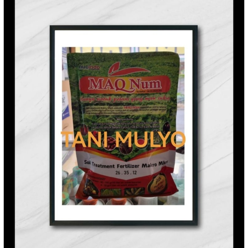 Jual PUPUK SUPER MAQ NUM 1 KG | Shopee Indonesia
