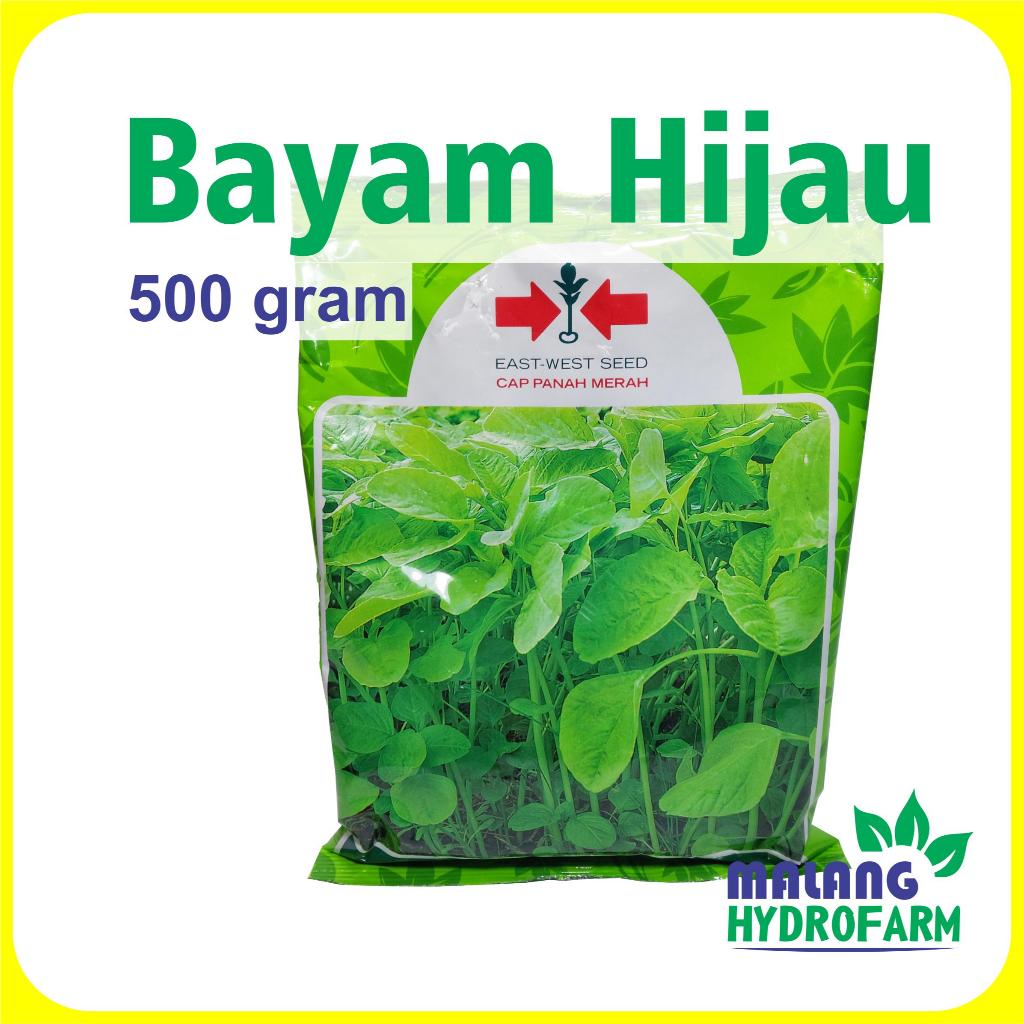 Jual Benih Bayam Hijau Maestro 500 gram Cap Panah Merah dataran rendah ...