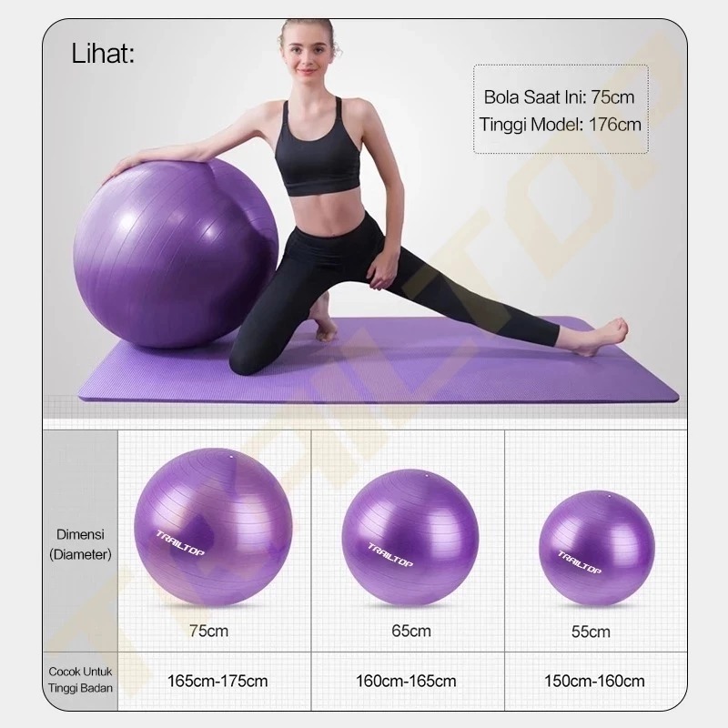Jual TrailTop Alat Gym Ball Free Pompa Gym Ball Ibu Hamil 65cm | Alat ...