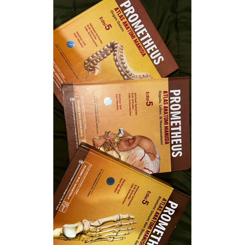 Jual PROMETHEUS ATLAS ANATOMI MANUSIA EDISI 5 | Shopee Indonesia