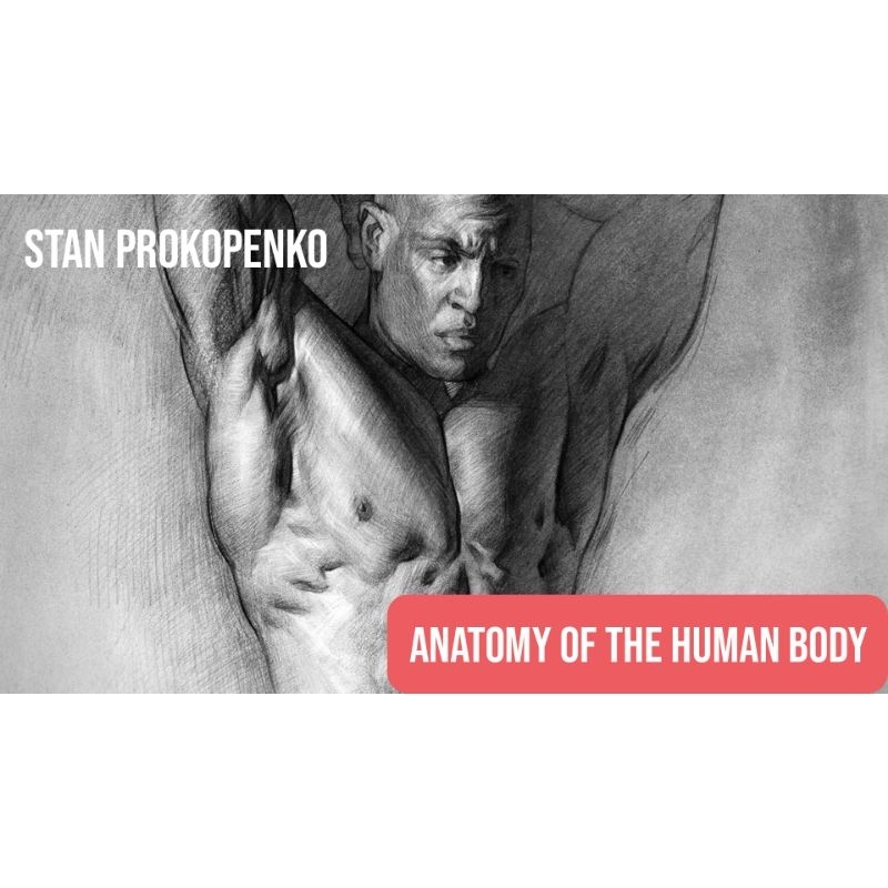 Jual KURSUS PROKO - Anatomy of the Human Body - Stan Prokopenko [Video ...