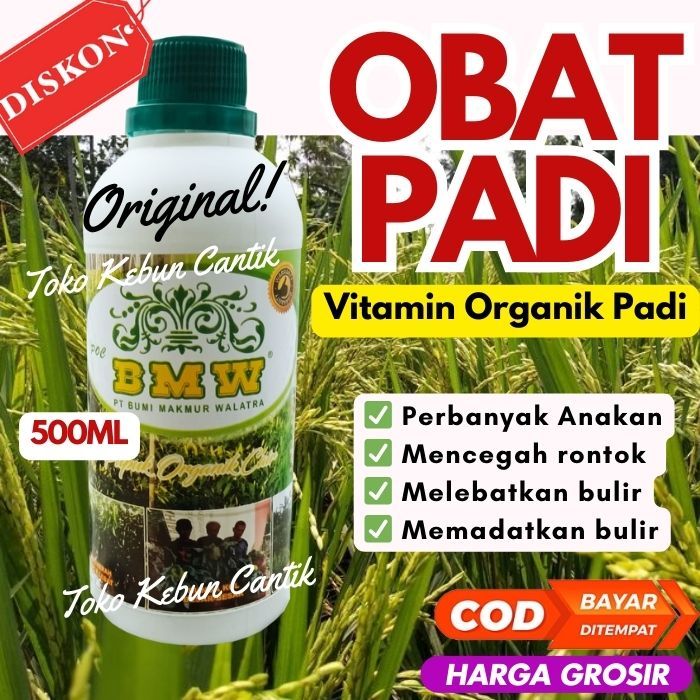 Jual Obat Padi BMW 500ML - POC NPK Menambah Bobot dan Kualitas Padi ...