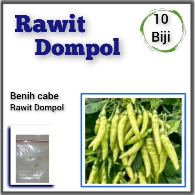 Jual Benih Cabe Rawit Dompol F1 Sayuran Cabai Hybrida | Shopee Indonesia