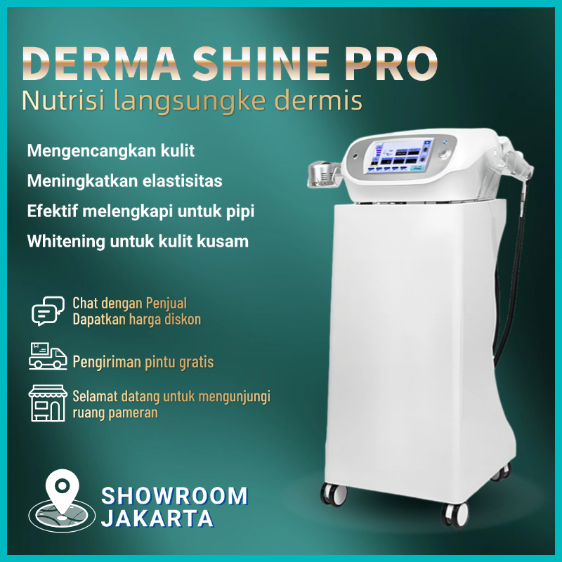 Jual Korea Dermashine pro alat Portable 2 in 1 9pin derma messo gun ...