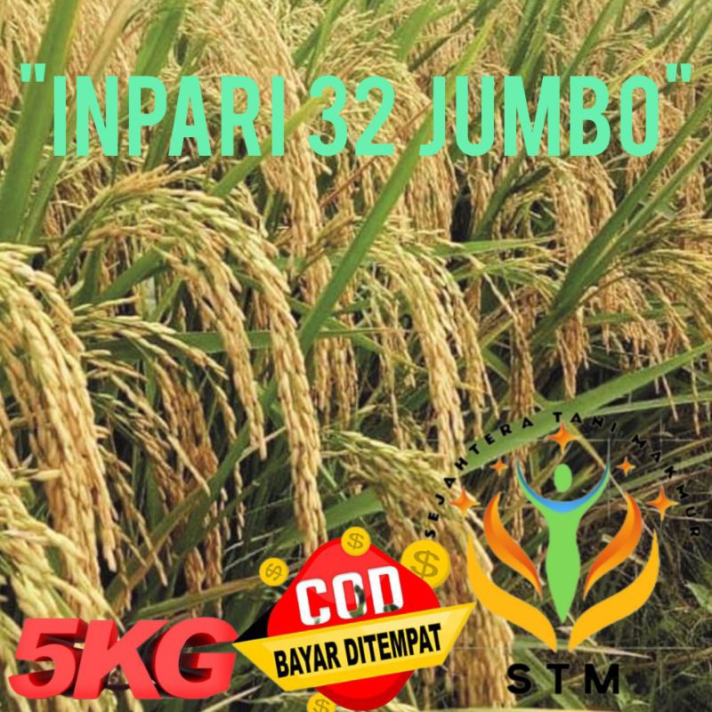Jual Benih Padi inpari 32 jumbo Kualitas Unggul Kemasan 5Kg | Shopee Indonesia