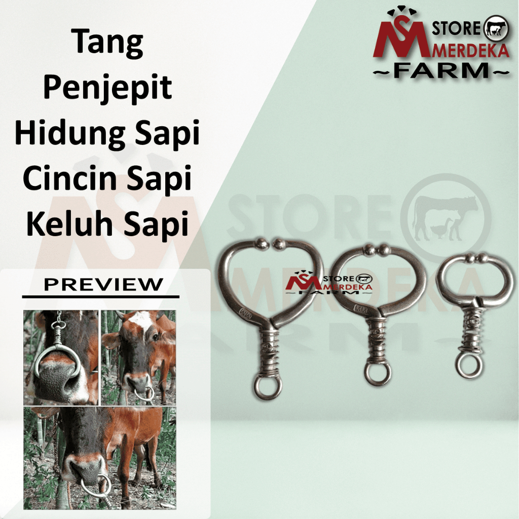 Jual Tang Penjepit Hidung Sapi Cincin Sapi Keluh Sapi Kerbau | Shopee ...
