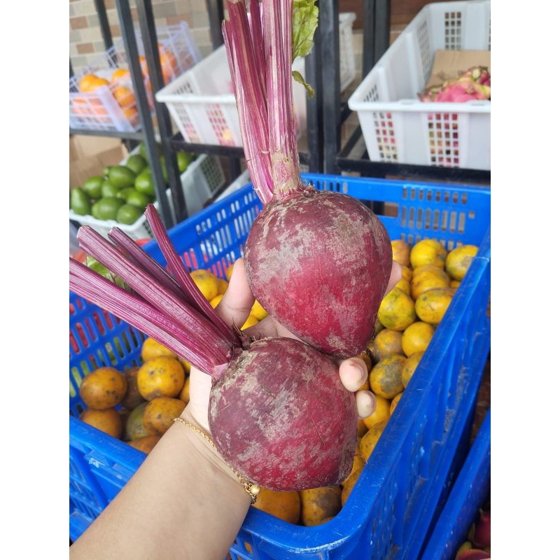 Jual Buah Bit -+1kg | Shopee Indonesia