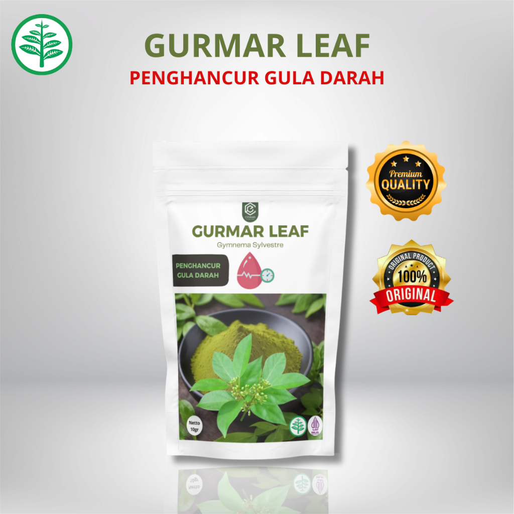 Jual DAUN GURMAR GYMNEMA SYLVESTRE 10g - GURMAR LEAF - PENGHANCUR GULA ...