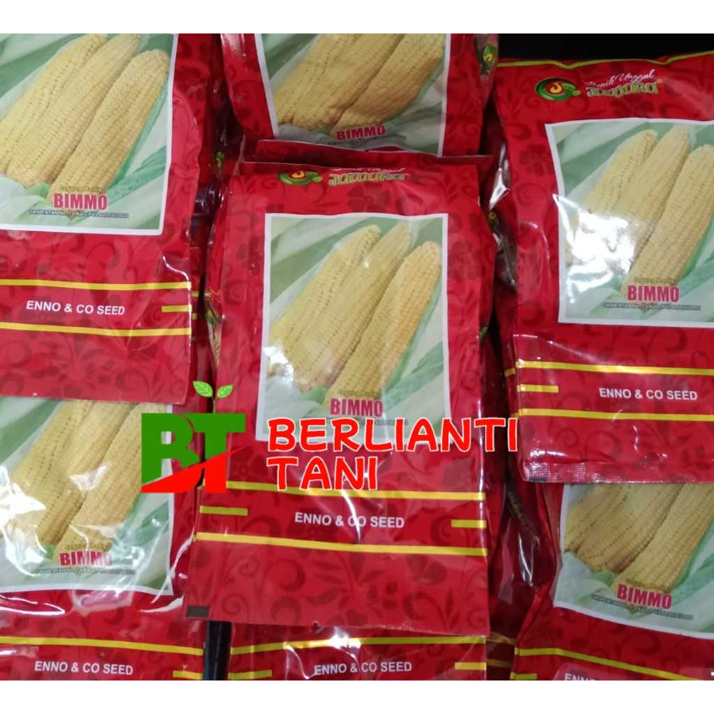 Jual BENIH JAGUNG MANIS BIMMO ISI 500 GRAM ( -/+ 3.500 Biji ) | Shopee ...