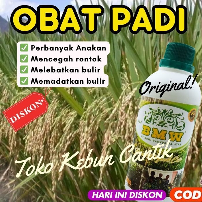 Jual Obat Semprot Padi - Pupuk dan Obat untuk Padi Sawah, Meningkatkan ...