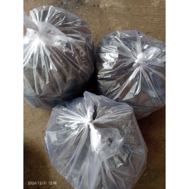 Jual areng kayu media tanam angrek / areng kayu super keras berkualitas ...