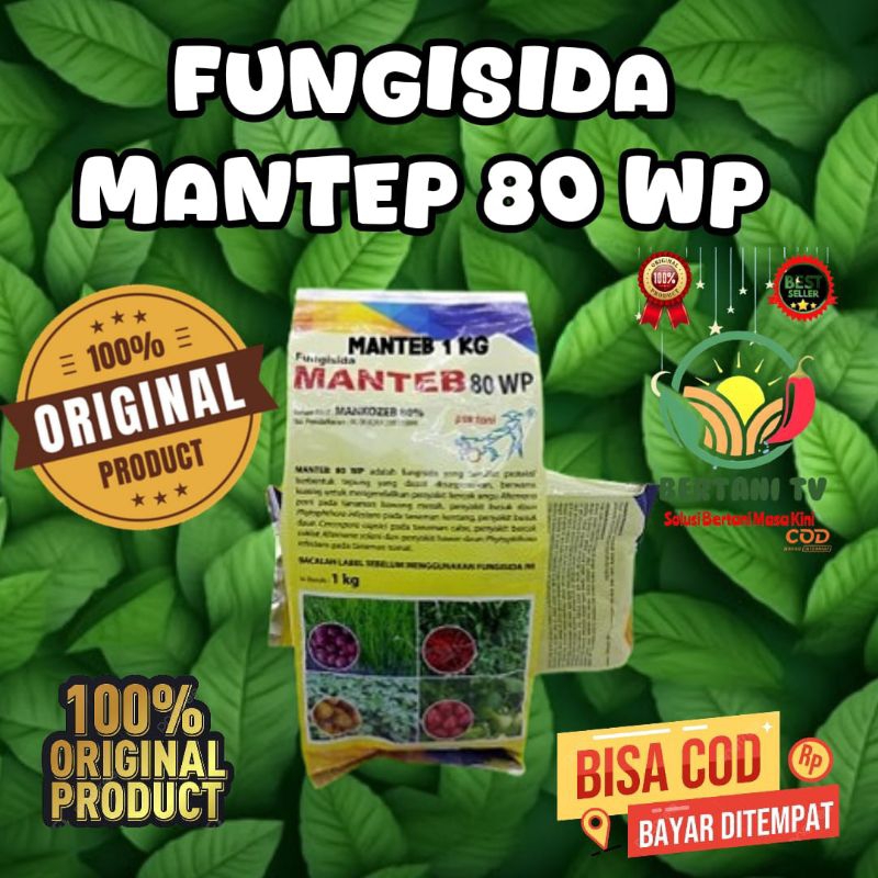 Jual Fungisida MANTEB 80 WP KMSN 1 KGFungisida Mankozeb Kuning membantu ...
