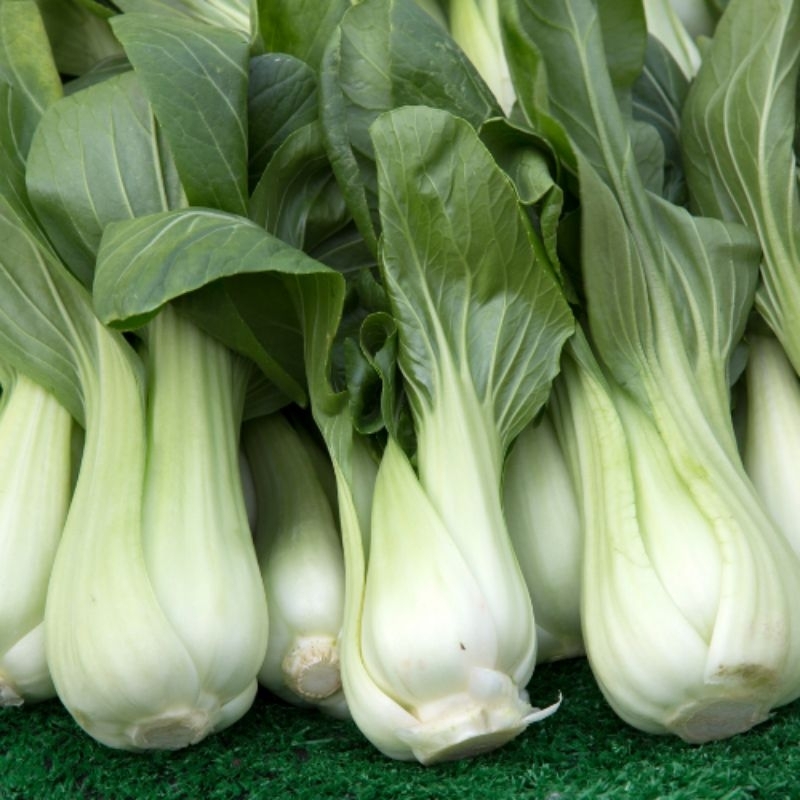 Jual Sayur Pakcoy 1kg | Shopee Indonesia