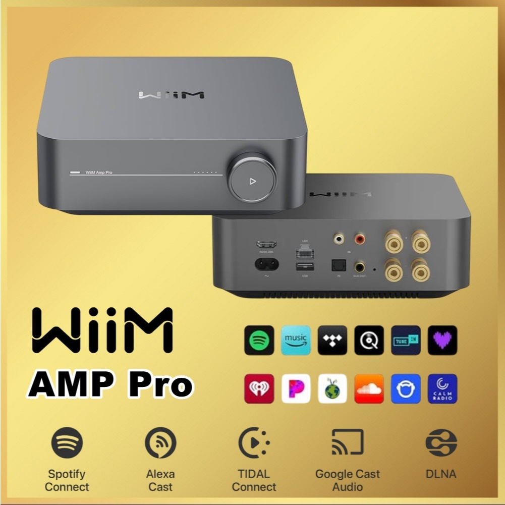 Jual WiiM AMP Pro Multiroom Streaming and Amplifier | Shopee Indonesia