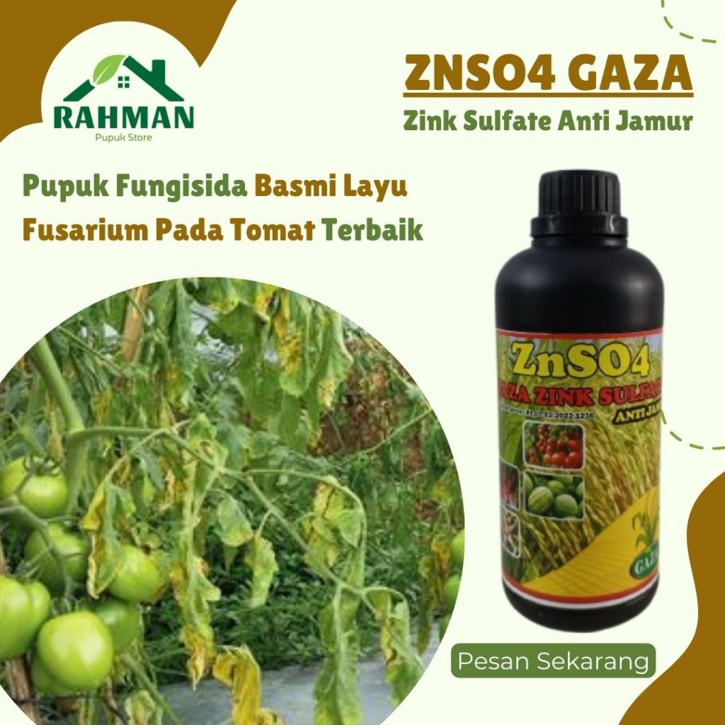 Jual OBAT LAYU FUSARIUM TOMAT TERAMPUH - ZNSO GAZA 500ML - Pupuk ...