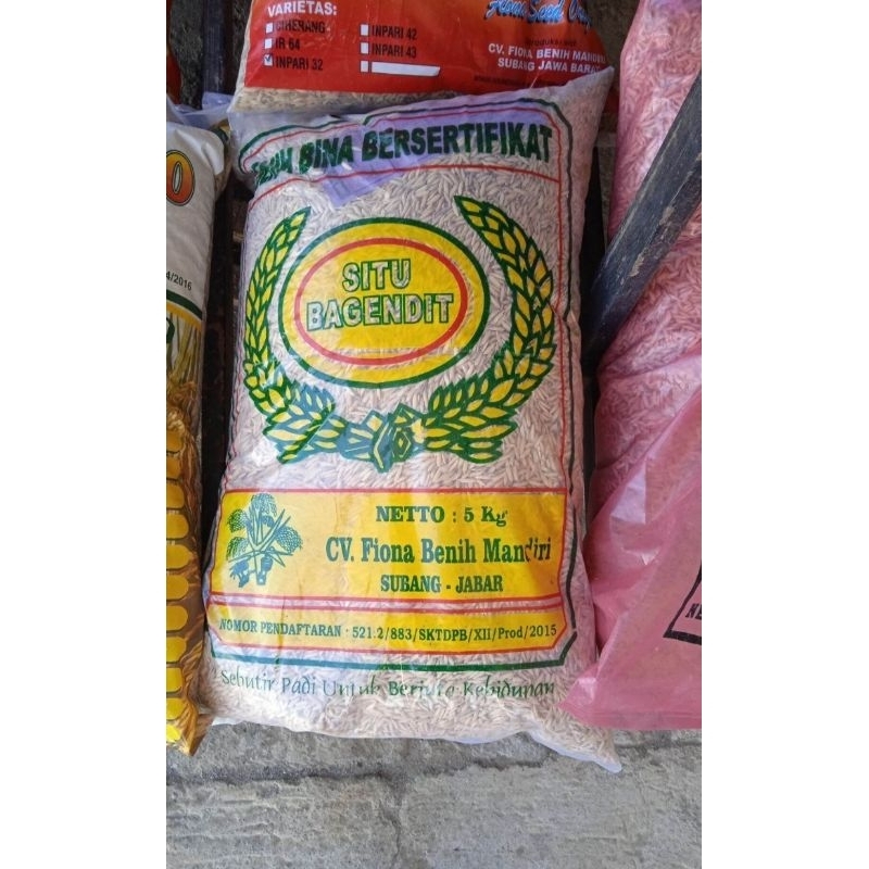 Jual Benih padi unggul SITU BAGENDIT 5kg | Shopee Indonesia