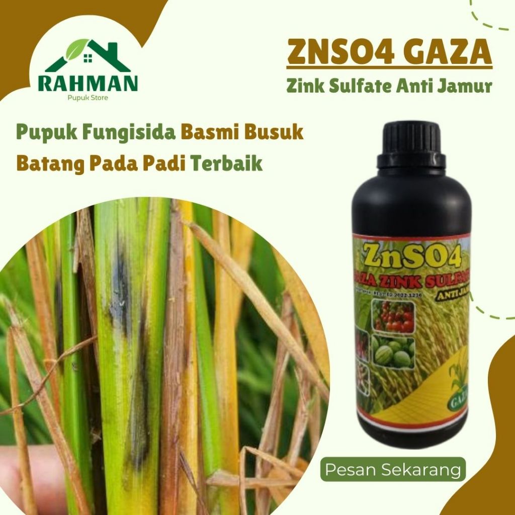 Jual paling murah ZNSO GAZA 500ML Obat busuk batang padi terampuh ...