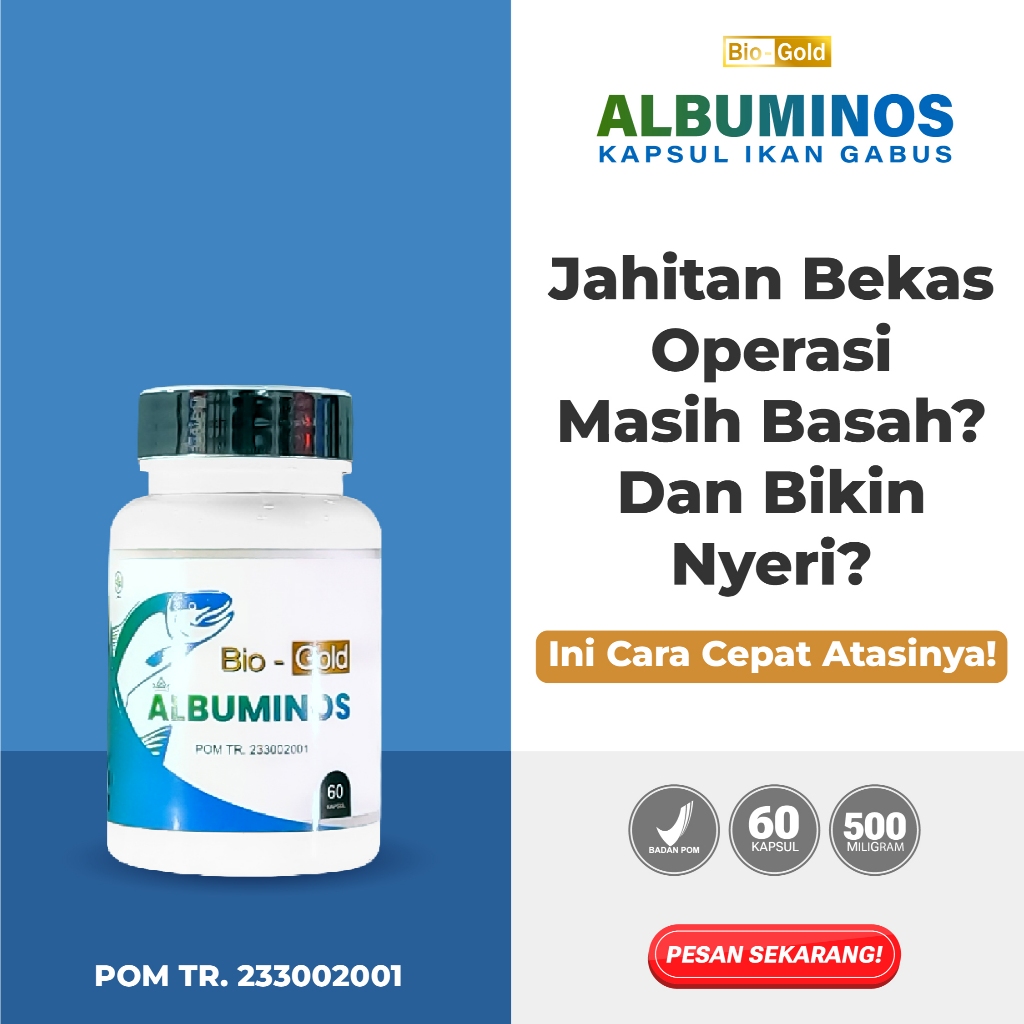 Jual ALBUMINOS Kapsul Ekstrak Ikan Gabus Kutuk Channa Striata 60 Kapsul BPOM | Shopee Indonesia