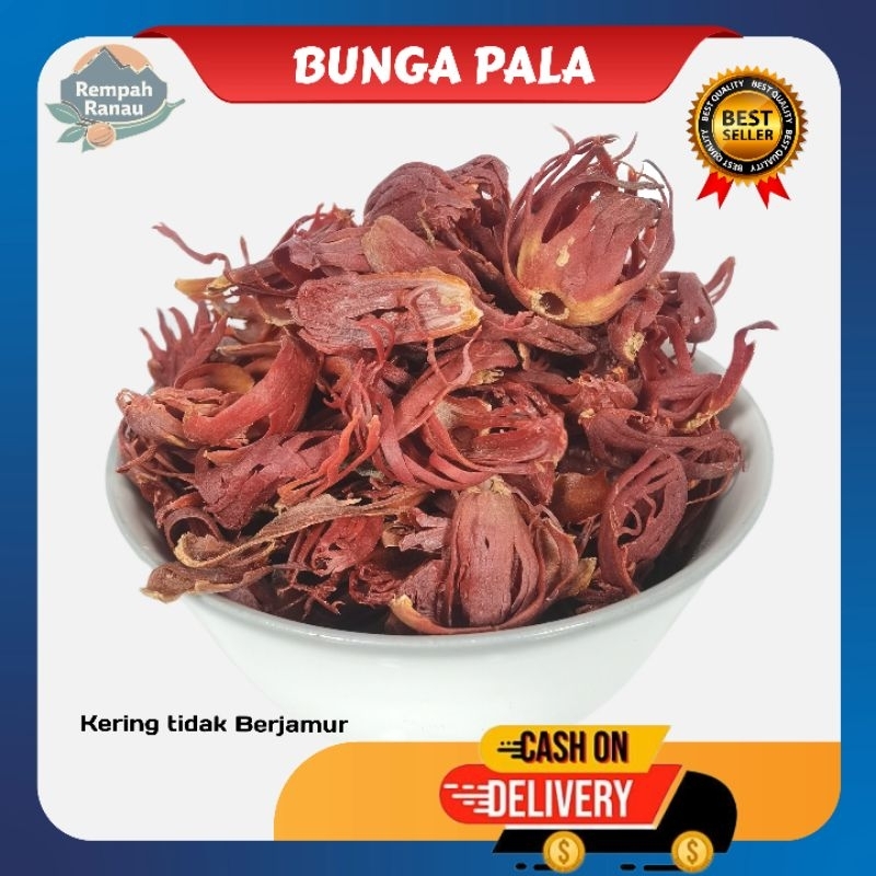 Jual Bunga Pala kering Ranau 1kg | Sempra Pala Kering | Fuli kering ...