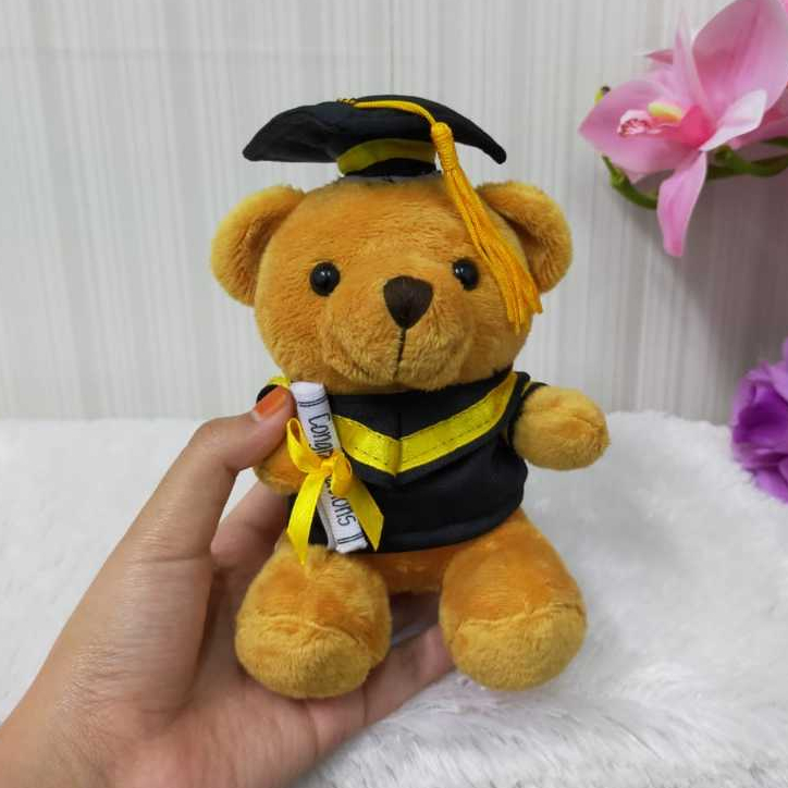 Jual Boneka Bear Wisuda size 22cm/7"/boneka toga/boneka graduation ...