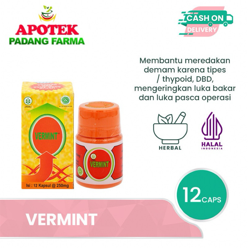 Jual Vermint 12 Kapsul - Obat Demam Tipes dan DBD | Shopee Indonesia