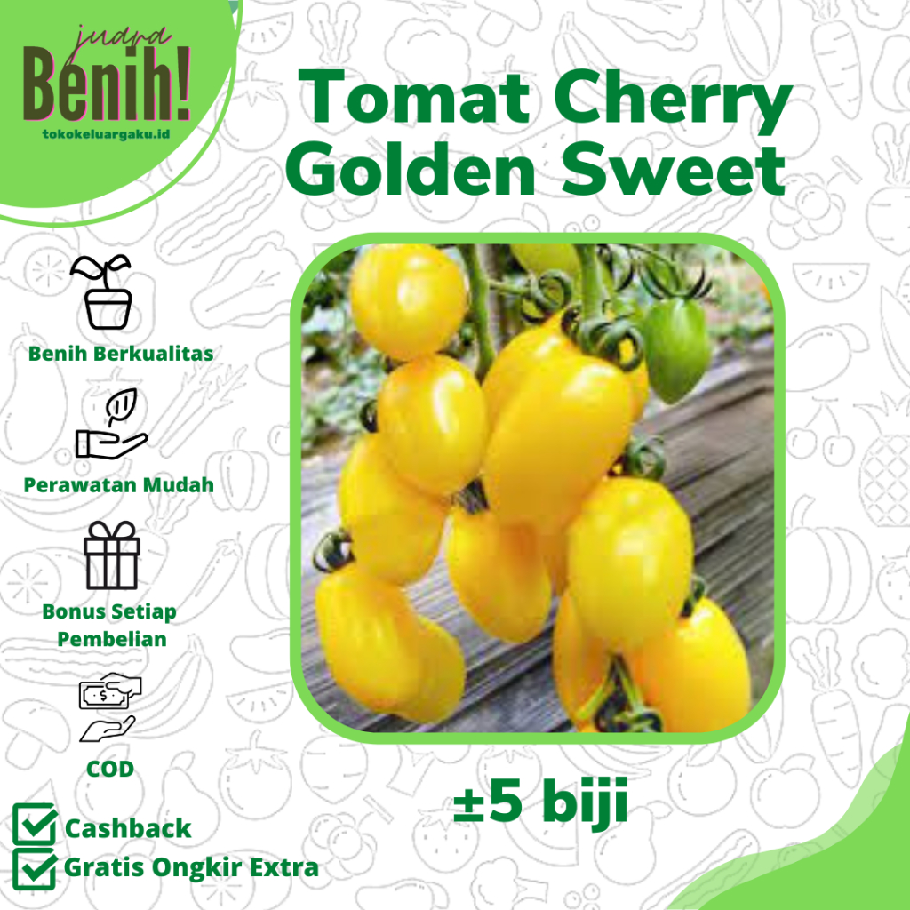 Jual 5 Biji - Benih Tomat Cherry GOLDEN SWEET F1 - Rasa Manis Bibit ...