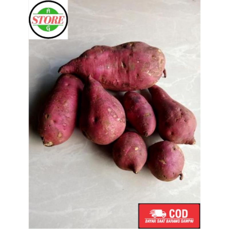 Jual Stok habis | Shopee Indonesia