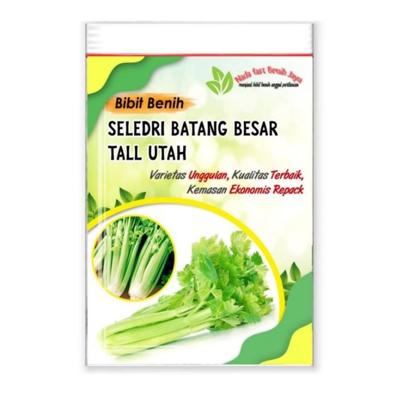 Jual Nada fast benih jaya - 100 Biji benih seledri batang besar super ...