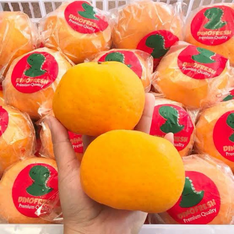 Jual JERUK MANIS DINO FRESH 500 GR | Shopee Indonesia