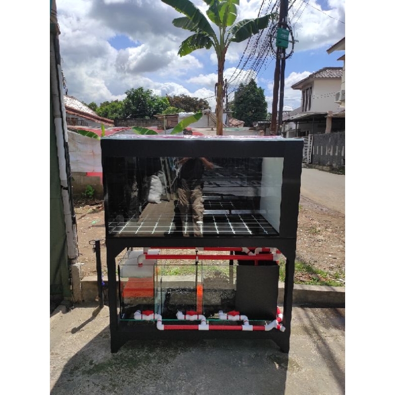Jual Aquarium fullset 120x60x60 10mm set sump filter wet dry backwash ...