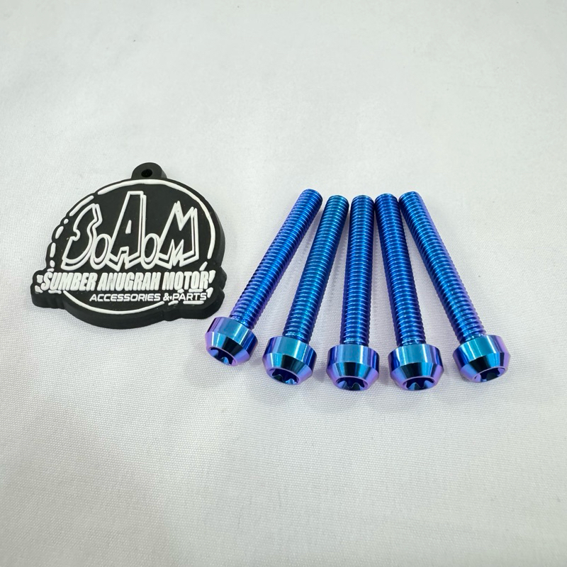 Jual BAUT TITANIUM PiL TRITON M6 x 40 BAUT DRAT 10 PANJANG 4 CM MODEL ...