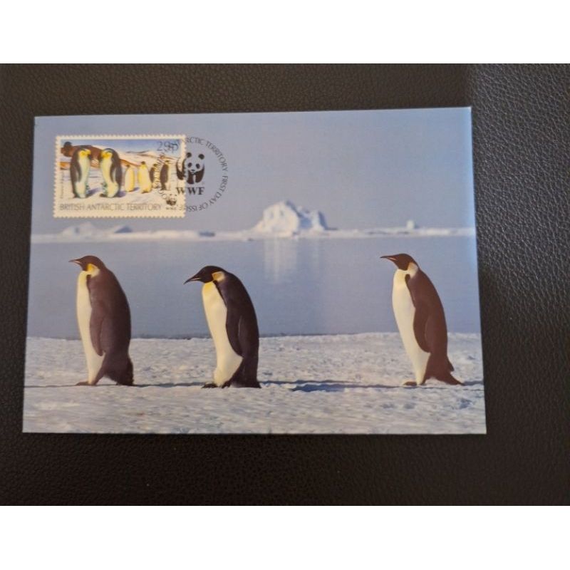 Jual kartu pos maxi Pengin/Penguin maxi card postcard | Shopee Indonesia