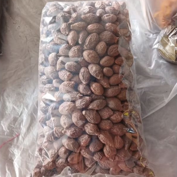 Jual Buah Tempayang 100 gram / Buah Tempayang / Buah Tempayan / Buah ...