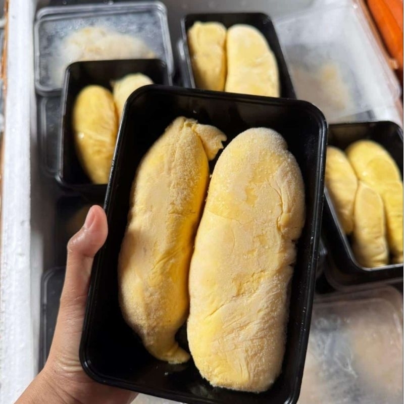 Jual Durian Montong Bali Singgoraja 500gr | Shopee Indonesia