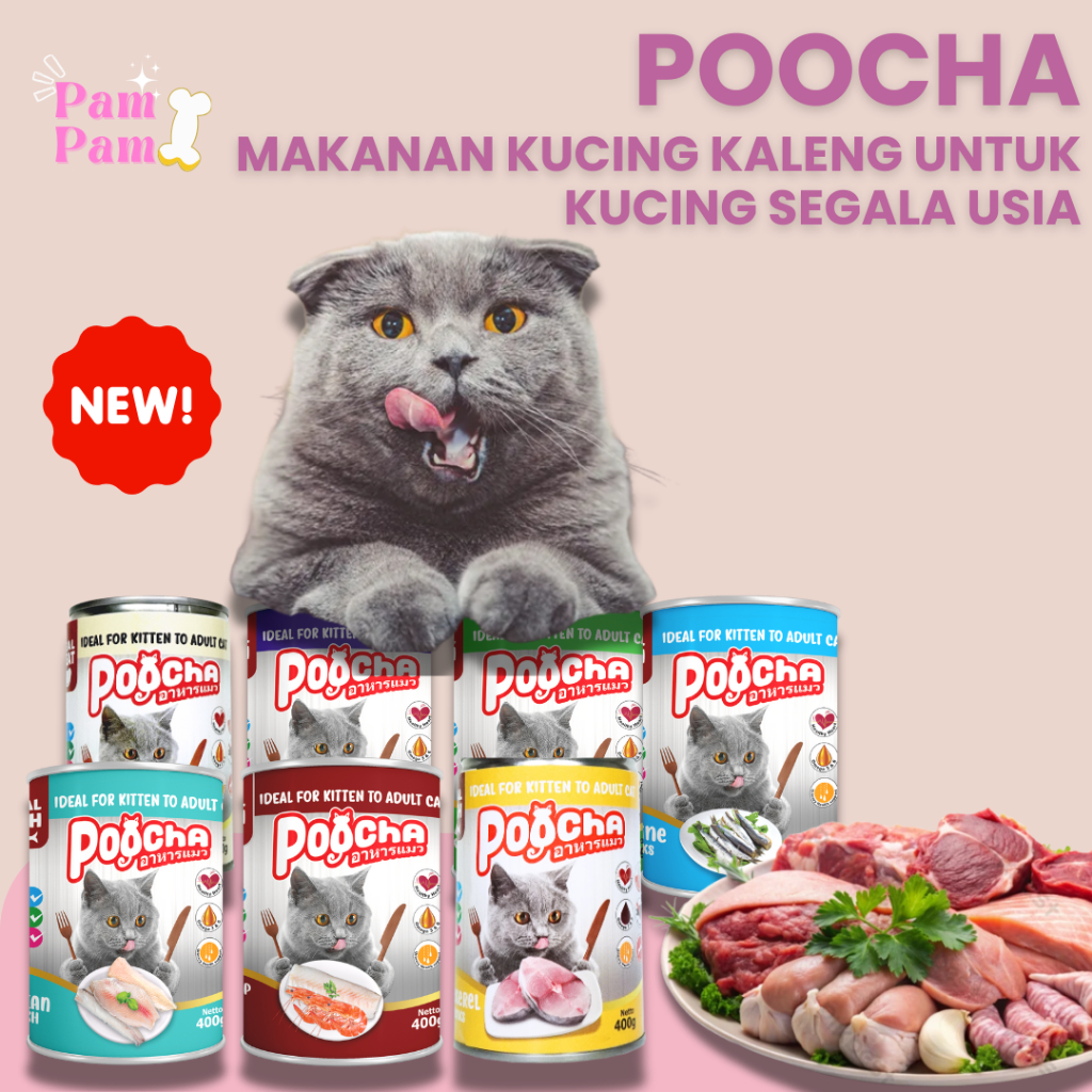 Jual POOCHA Kaleng 400 gram Makanan Kucing Cat Wet Food Pocha Pochcha ...