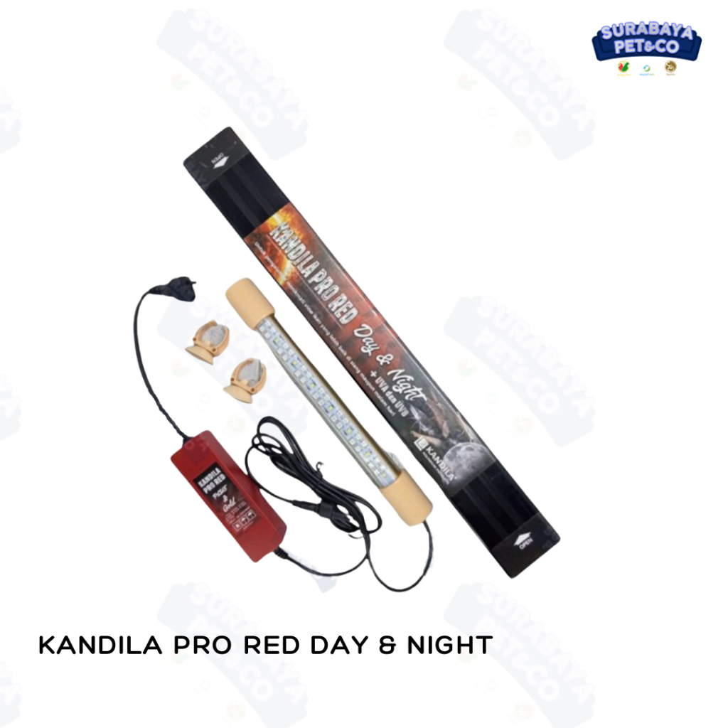 Jual Kandila Official Pro Red Day & Night Plus | Shopee Indonesia
