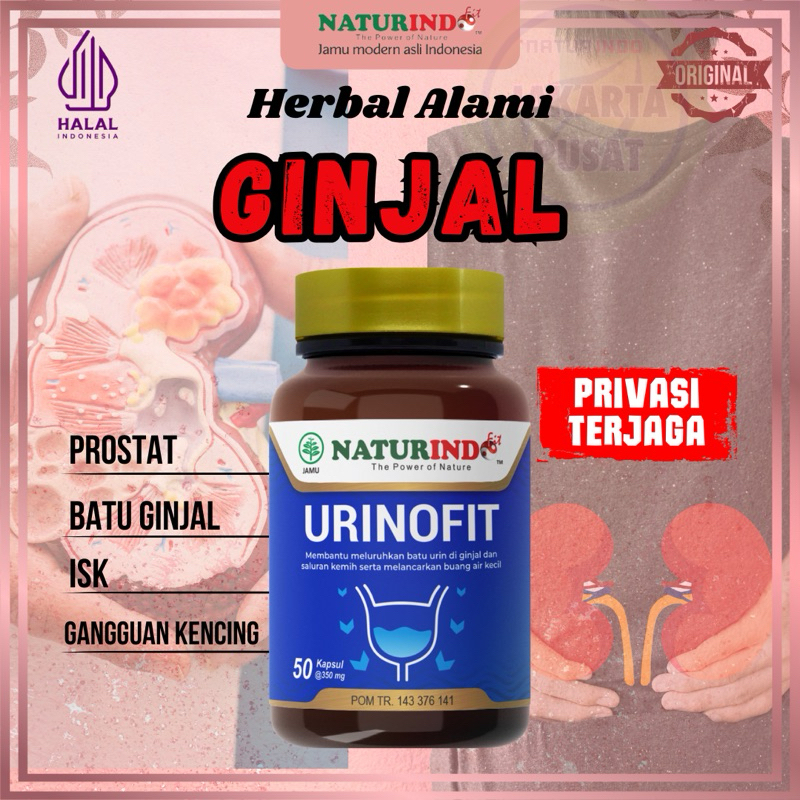 Jual Naturindo Urinofit Obat Herbal Spesialis Meluruhkan Batu Ginjal Prostat Infeksi Saluran ...