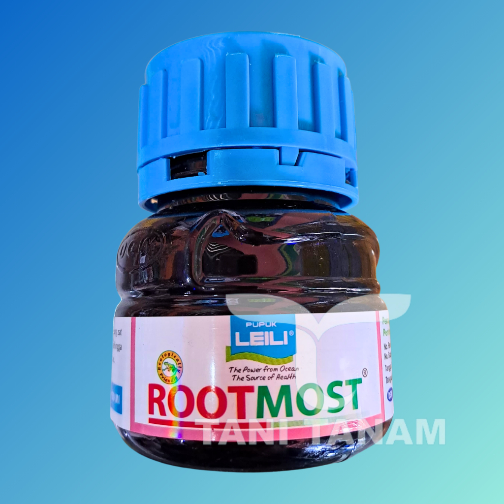 Jual ROOTMOST 100 ML NUTRISI PERANGSANG PERTUMBUHAN AKAR // ROTMOS PUPUK / RUTMOS PUPUK | Shopee ...