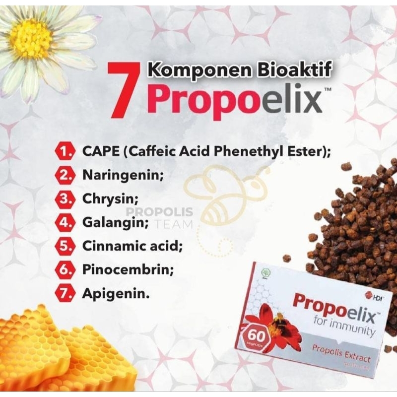 Jual PROPOELIX 30 SEGEL 2025 | Shopee Indonesia