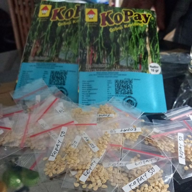 Jual Benih cabe merah kerting kopay repacking isi 50 biji | Shopee ...