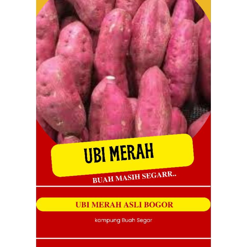 Jual ubi merah 1kg asli fres | Shopee Indonesia
